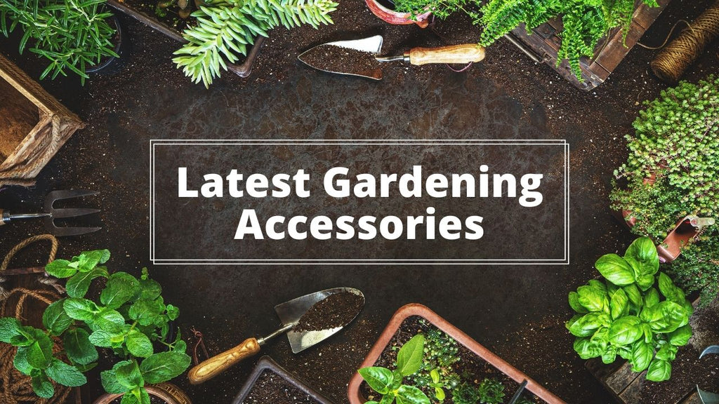 Transform Your Garden With The Latest Gardening Accessories – Green Carpet