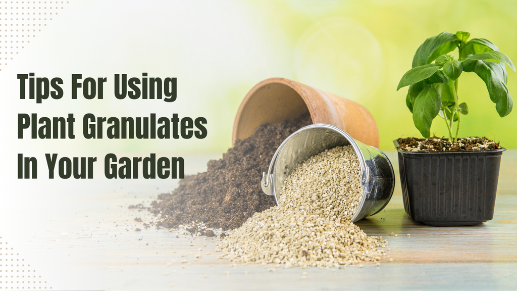 Tips For Using Plant Granulates In Your Garden – Green Carpet