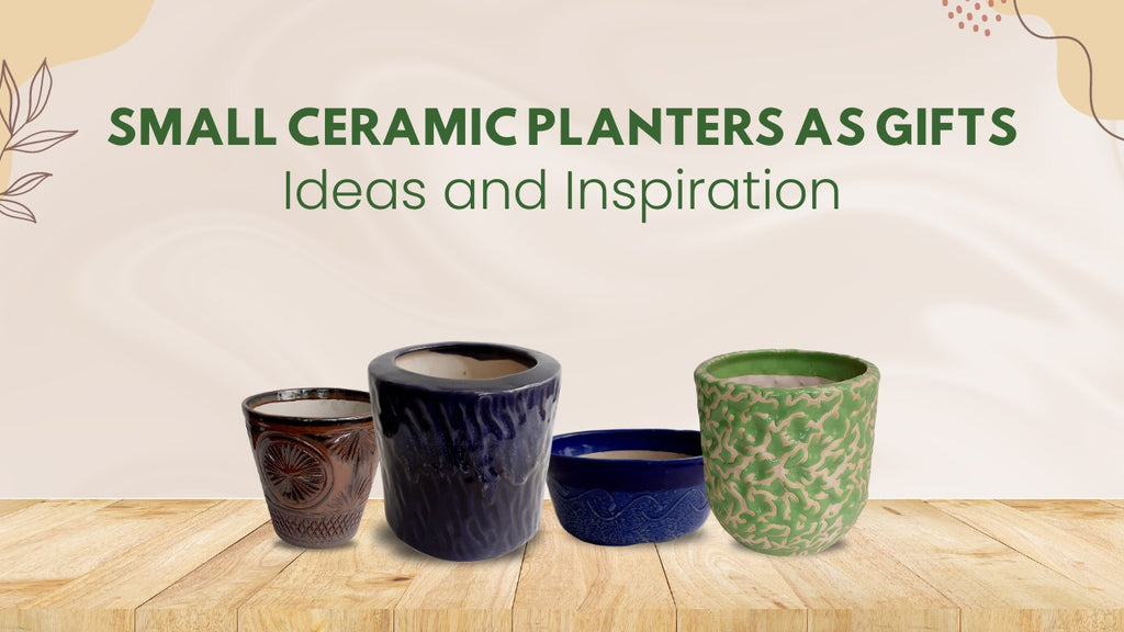 Small Ceramic Planters as Gifts: Ideas and Inspiration – Green Carpet