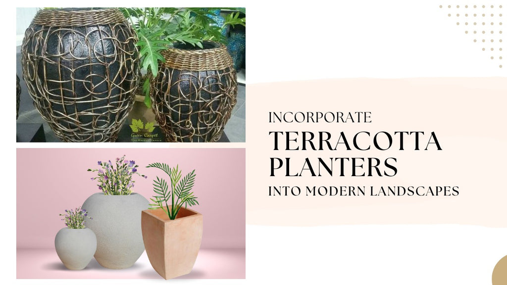 Incorporate Terracotta Planters Into Modern Landscapes – Green Carpet