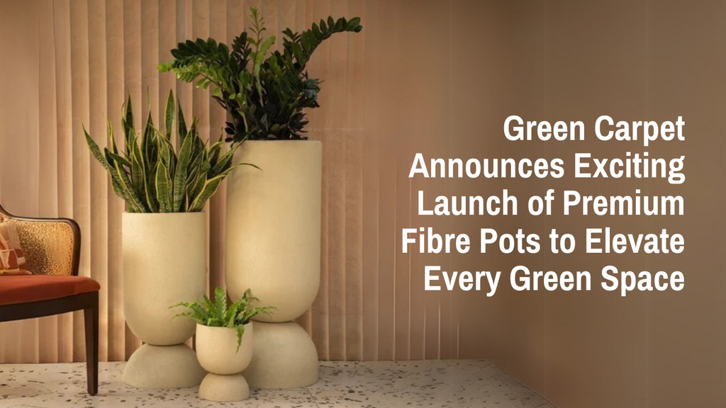 Green Carpet Announces Exciting Launch of Premium Fibre Pots to Elevate ...