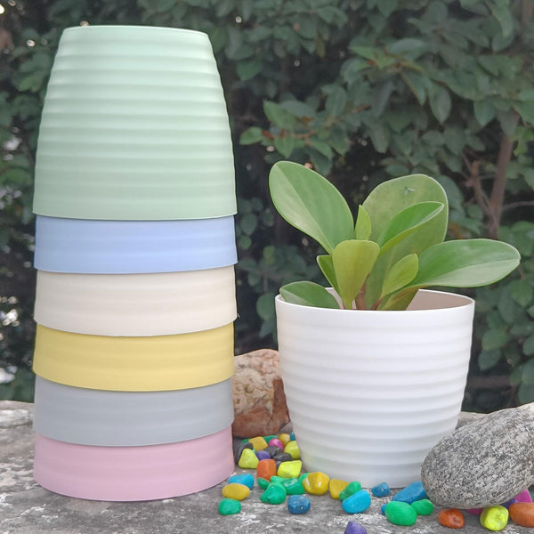 Stylish Multi-Colored Fibre Pots for Modern Gardening – Green Carpet